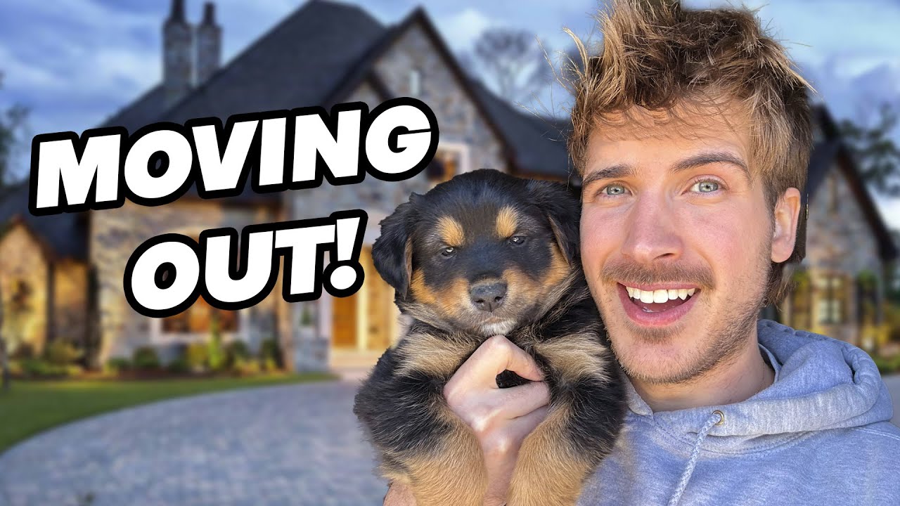 Seven sweet puppies helped make a new house feel like home