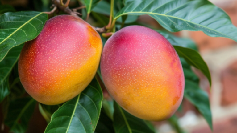 Which place is known as the mango city of India? A guide to its famous ...