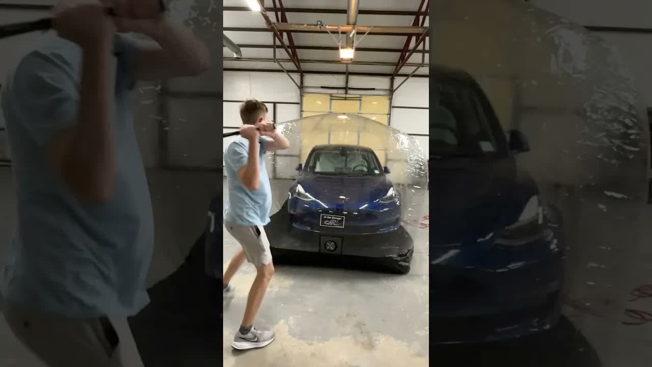 Tesla vs random objects challenge