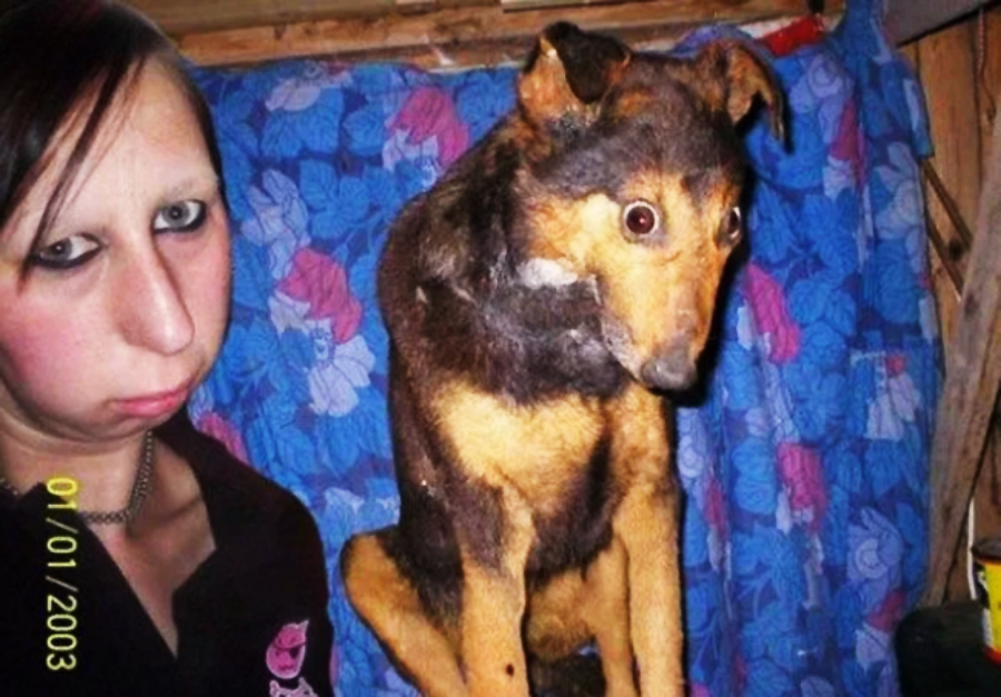 20 pets that look exactly like their owners