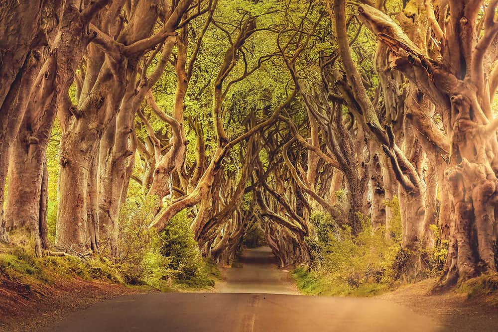 6 epic road trips that will change how you see the world