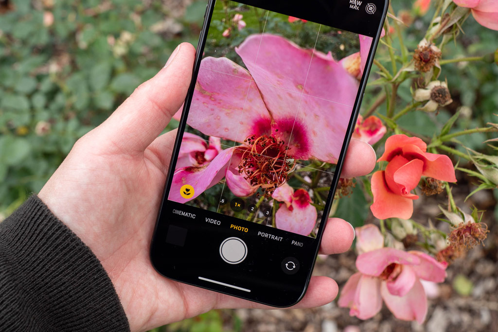 Best smartphones for macro photography – capture close-up detail