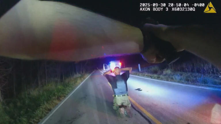 Police chase ends with state trooper in handcuffs after stop sticks ...