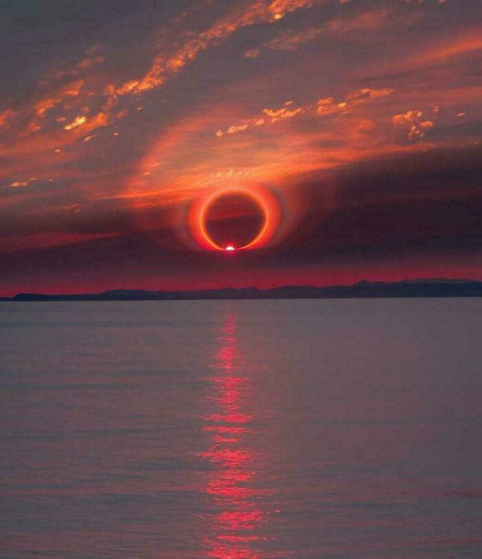 61 weird events from around the world that still don’t feel entirely real