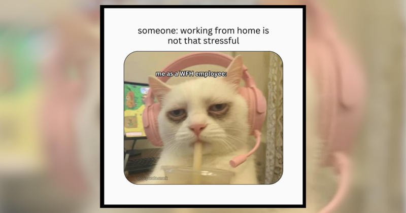 31 memes that perfectly capture the work-from-home experience