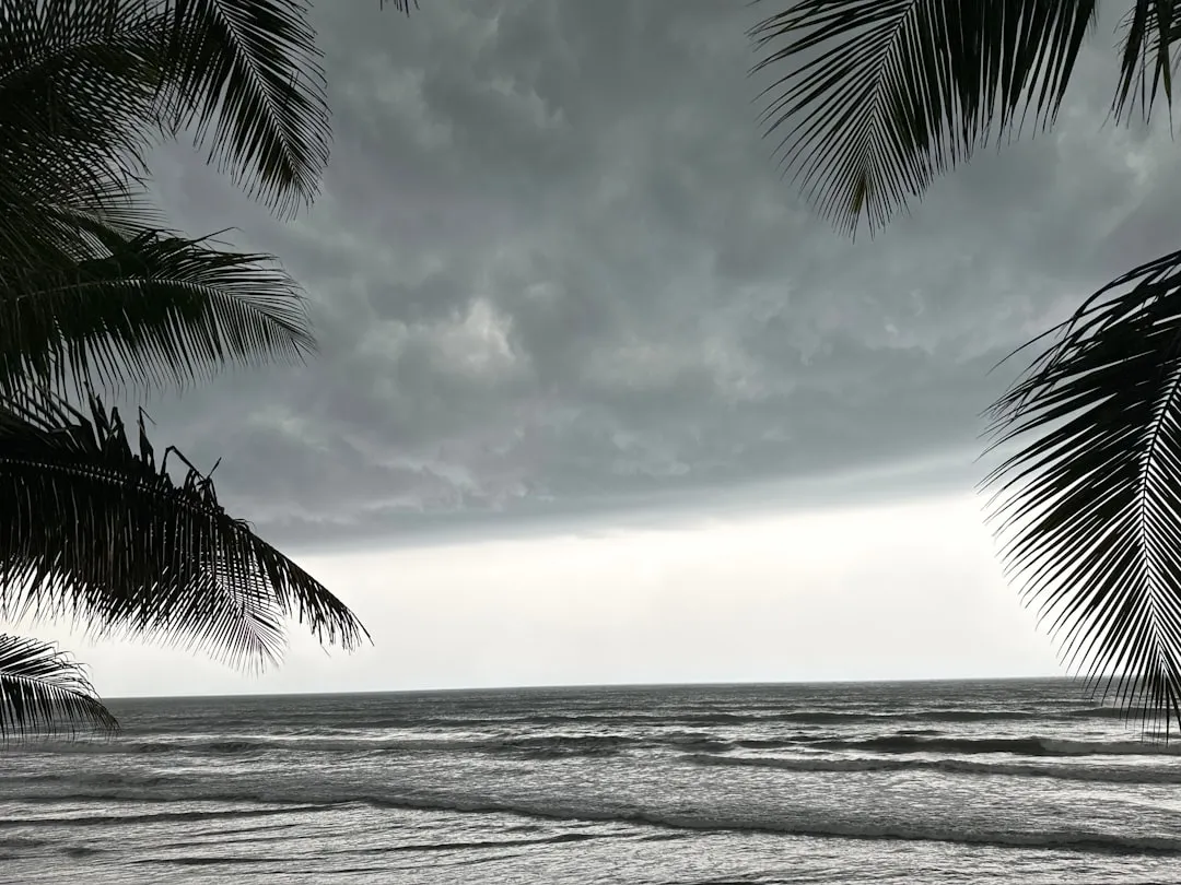 The "February hurricane": Why experts fear the new year-round storm cycle