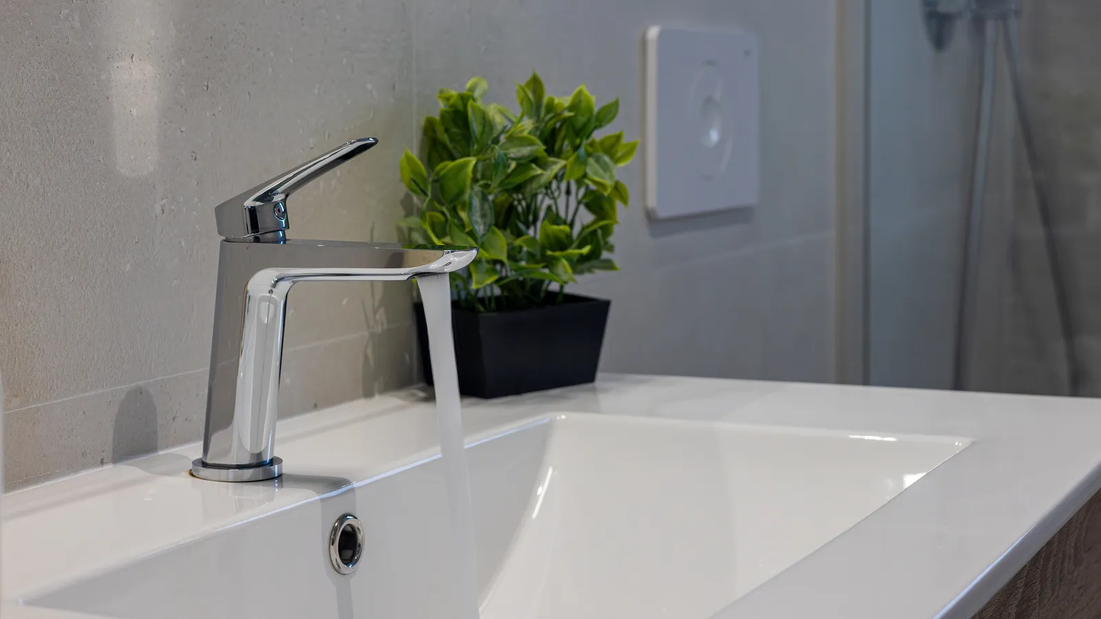 The best water for houseplants isn’t tap water, here’s what to use instead