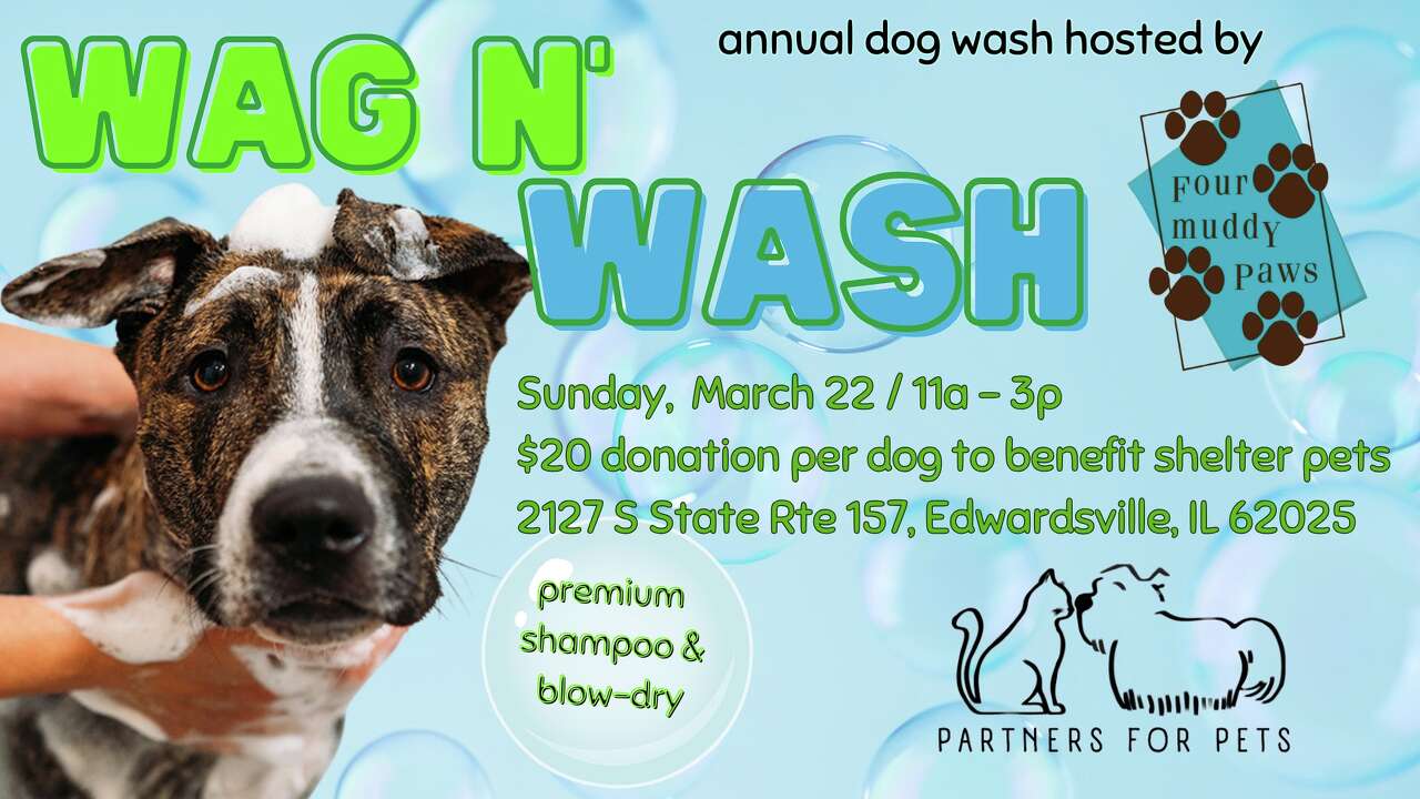 Four Muddy Paws to host Wag N' Wash fundraiser for Partners 4 Pets