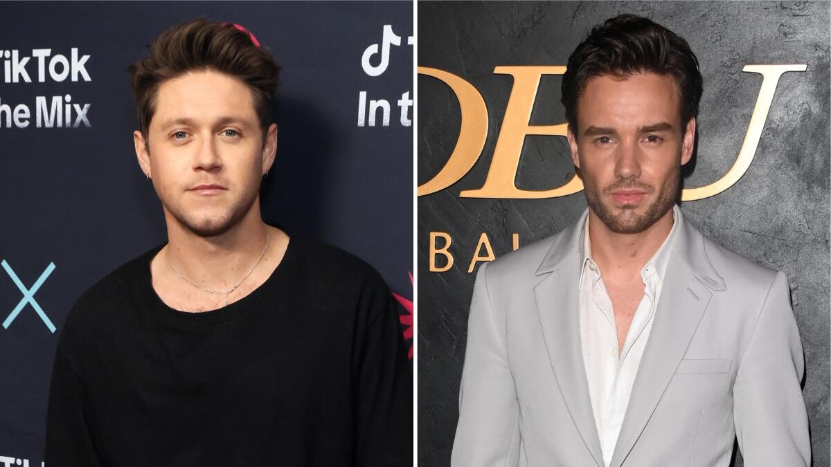 Niall Horan channeled grief over Liam Payne's death into new song