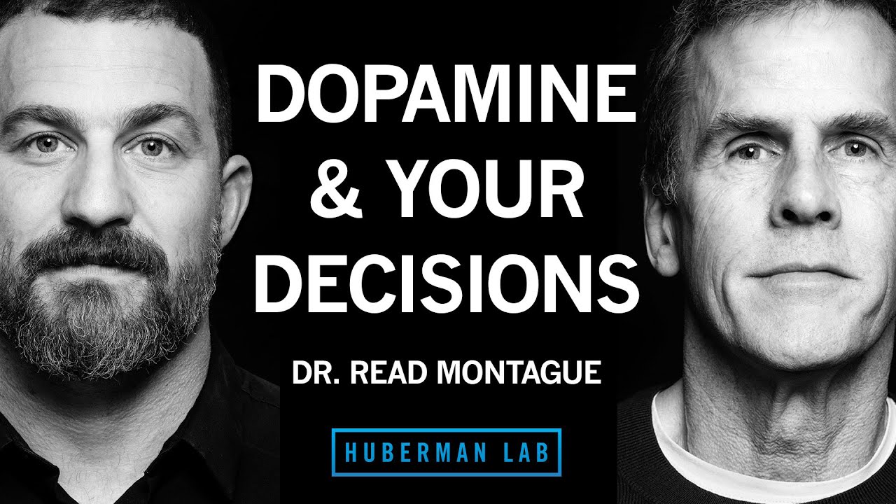 How dopamine & serotonin shape decisions, motivation & learning | Dr ...