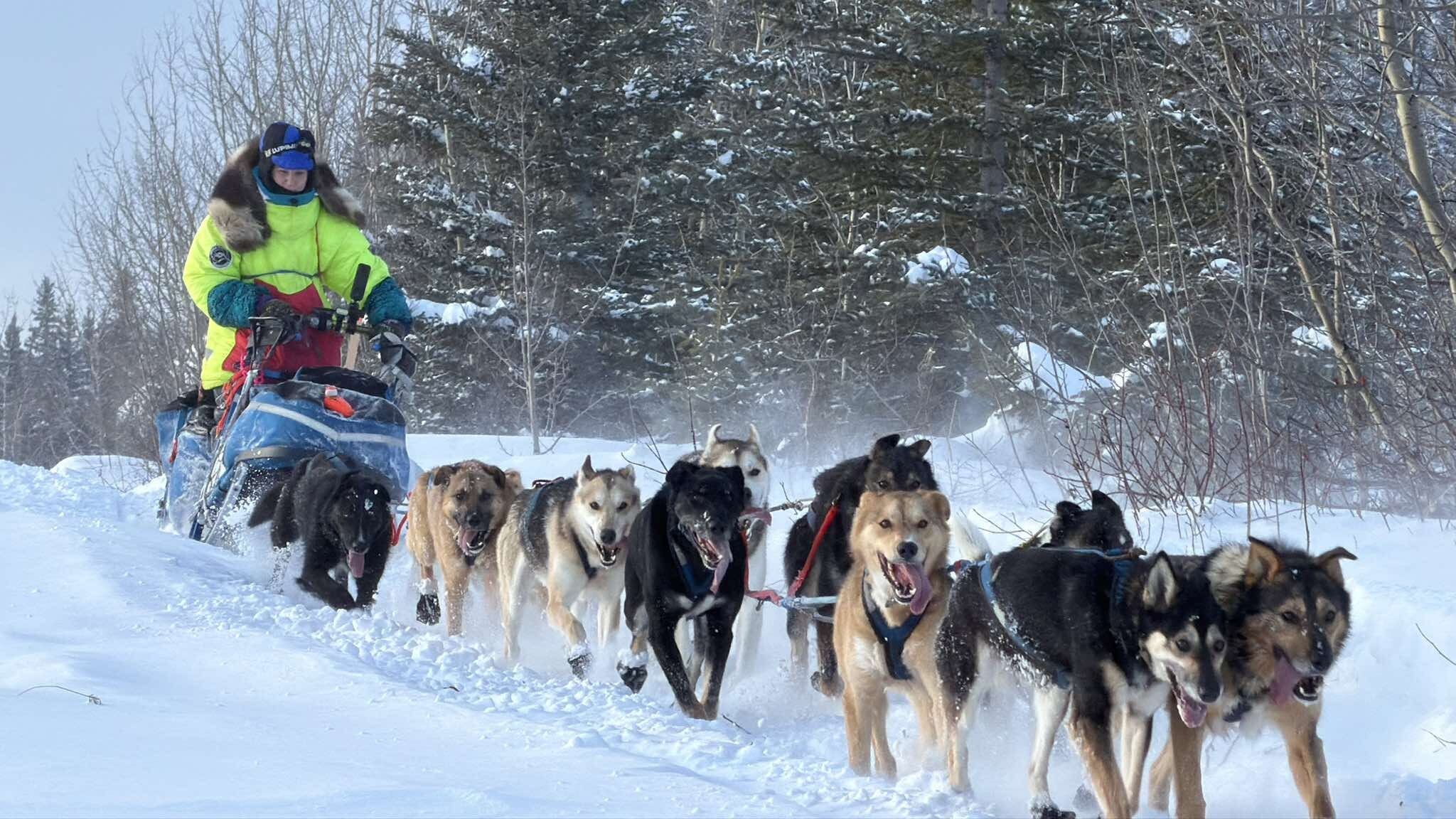 Update: Minot native finishes Iditarod