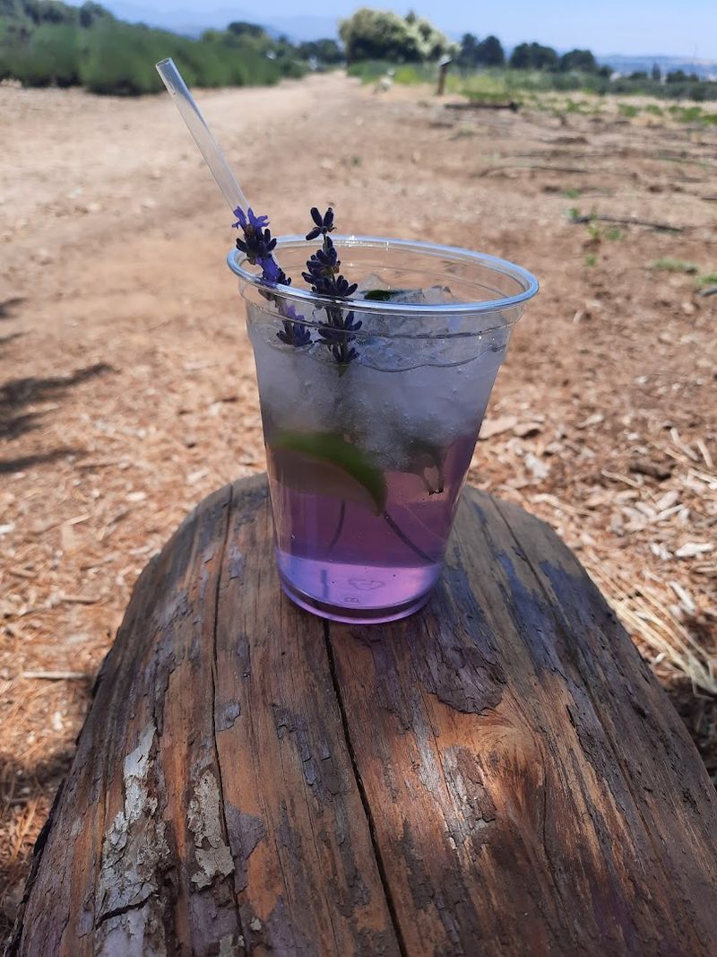 This California lavender farm will convince you you’ve stepped into ...