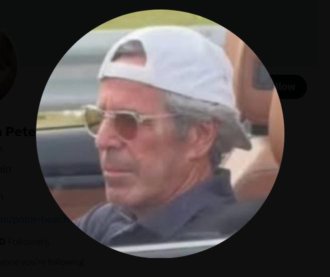 Jeffrey Epstein lookalike breaks silence after going viral