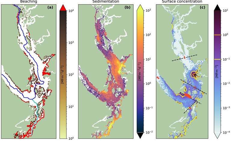 Rivers and tidal currents keep 80% of microfibers from reaching oceans ...