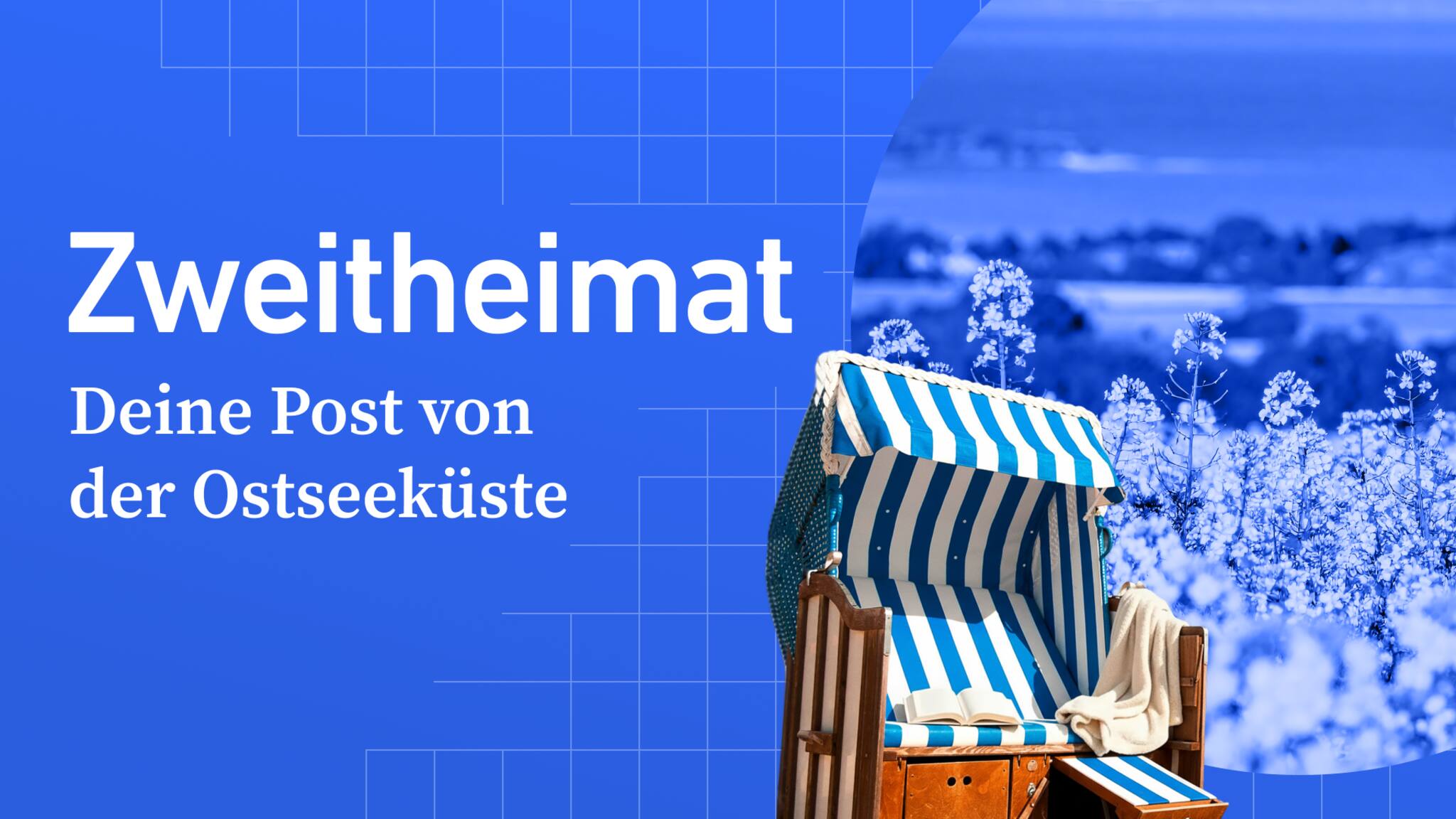 Dürfen wir dich kurz was fragen?
