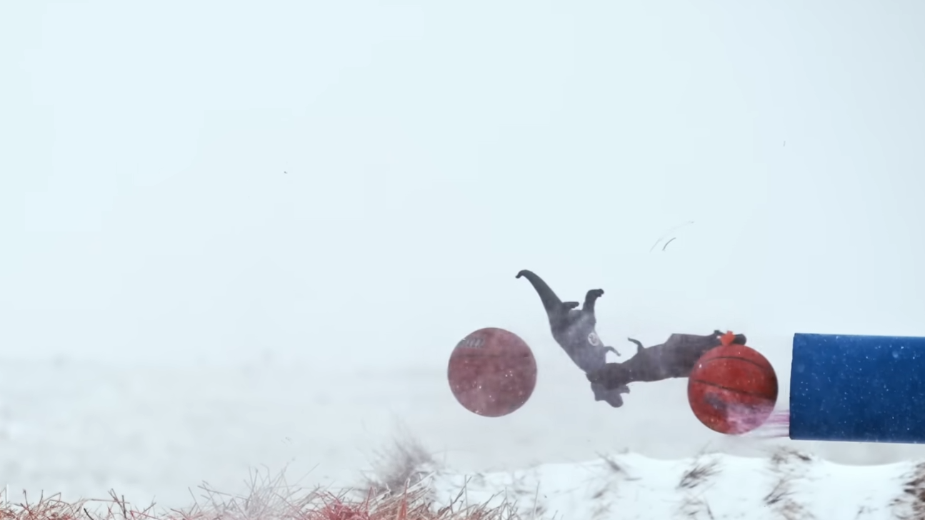 This is the rare phenomenon they accidentally captured at 10,000 FPS
