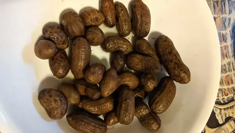 5 unusual southern foods that confuse - and sometimes alarm - first ...