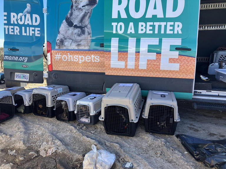 OHS takes in 21 pets from second animal neglect case in Lake County