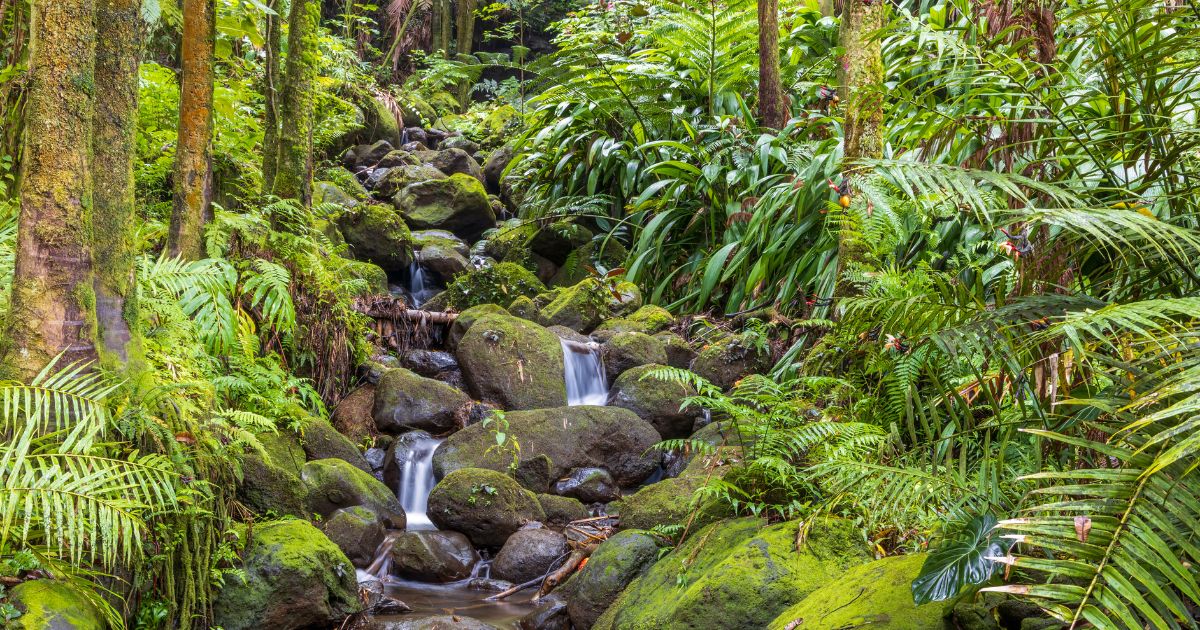 14 of the most beautiful botanical gardens in the US