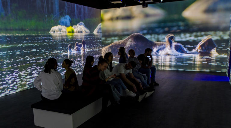 Wild new immersive experience is coming to the outskirts of Bristol ...
