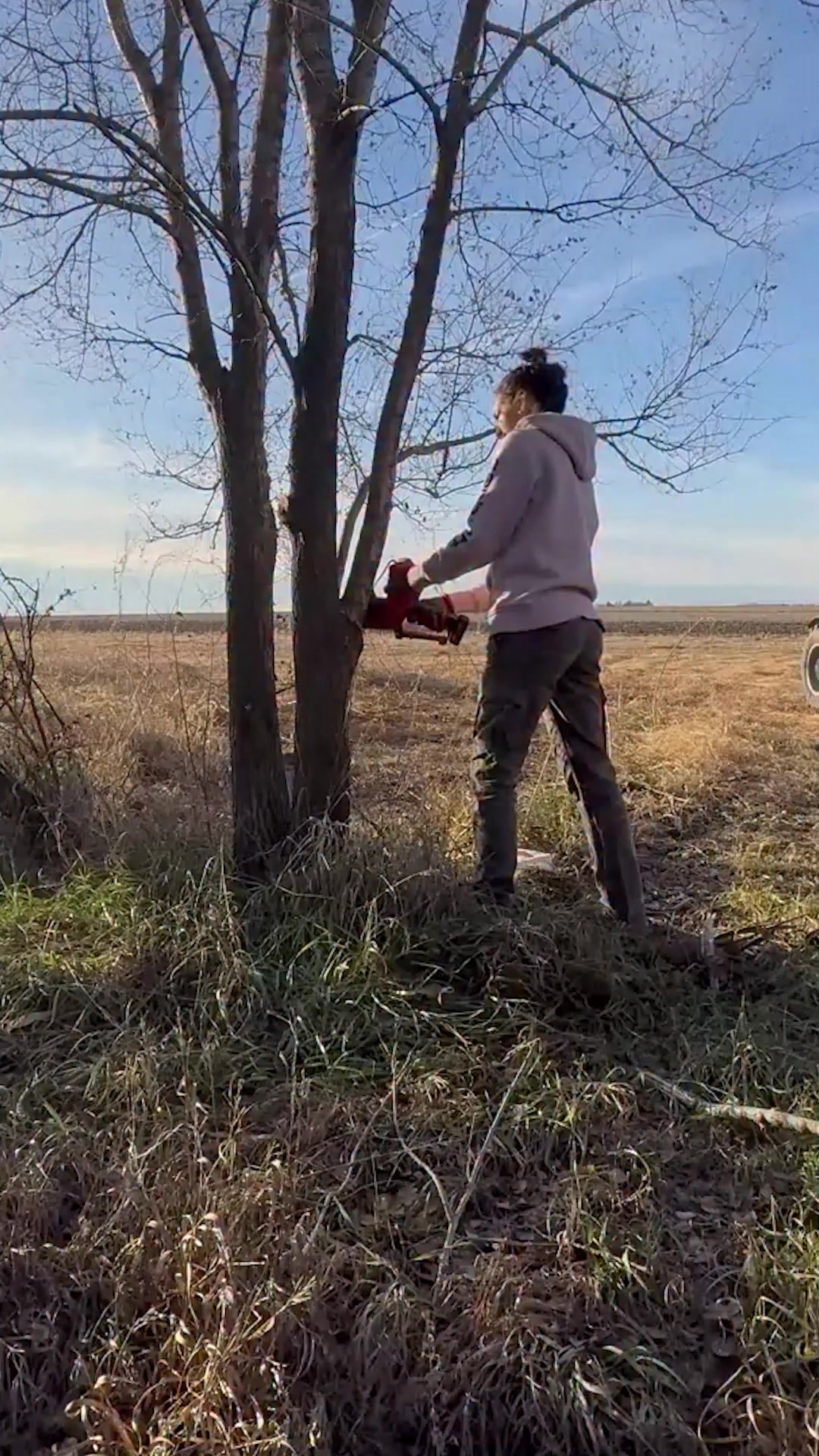Homestead clean-up in action