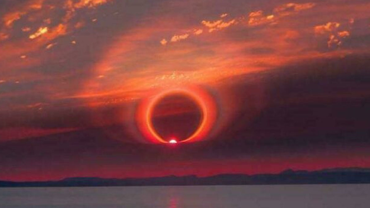 61 weird events from around the world that still don’t feel entirely real