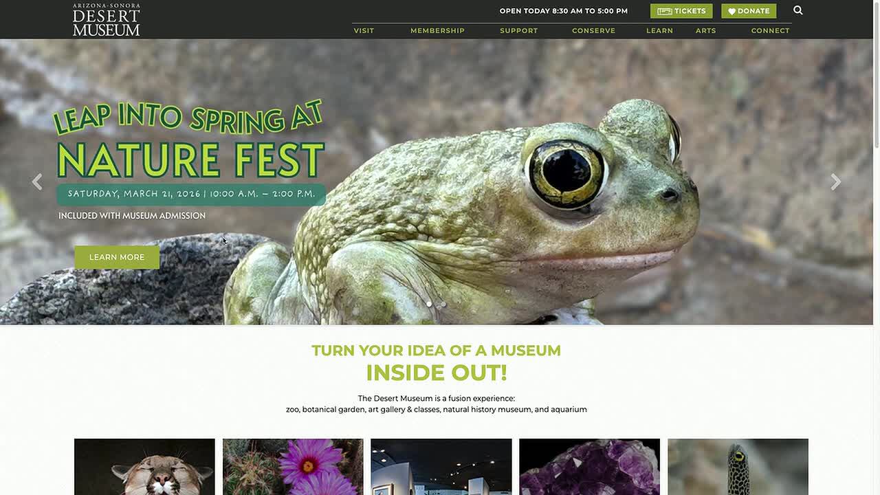 Tucson now: Desert Museum highlights new exhibit during Nature Fest