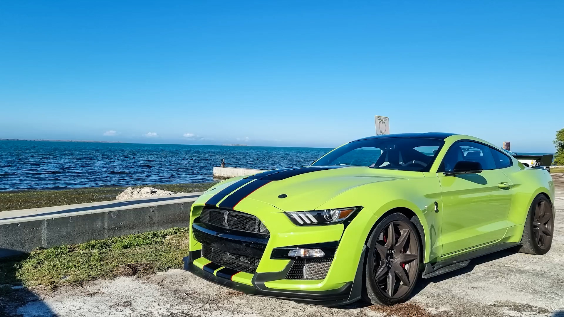 Ford Mustang Shelby GT500 by the ocean