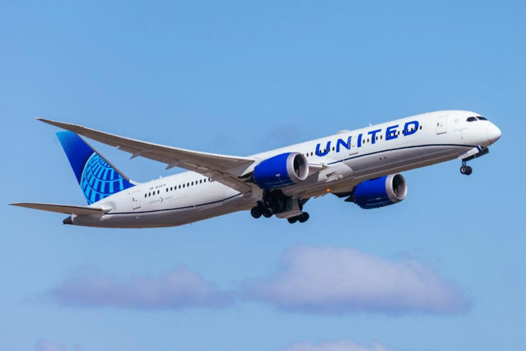 United Airlines slashes flights by 5% as Iran war spikes fuel costs—CEO ...