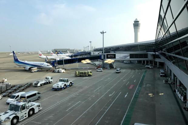 Flights cancelled and staff made redundant as 8 travel firms collapse