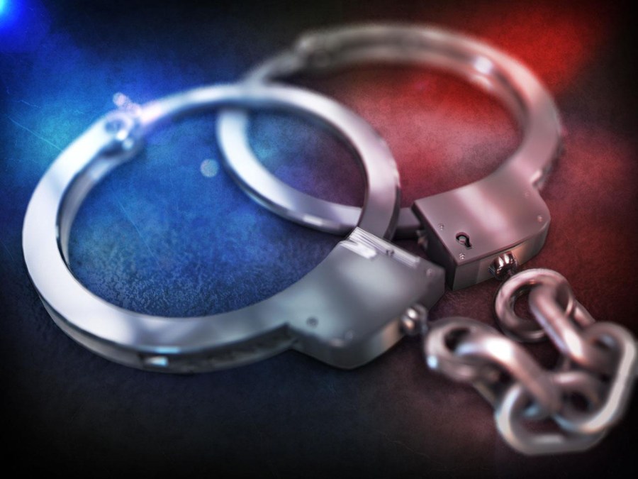Wichita man arrested in fatal hit-and-run near Sedgwick County Zoo