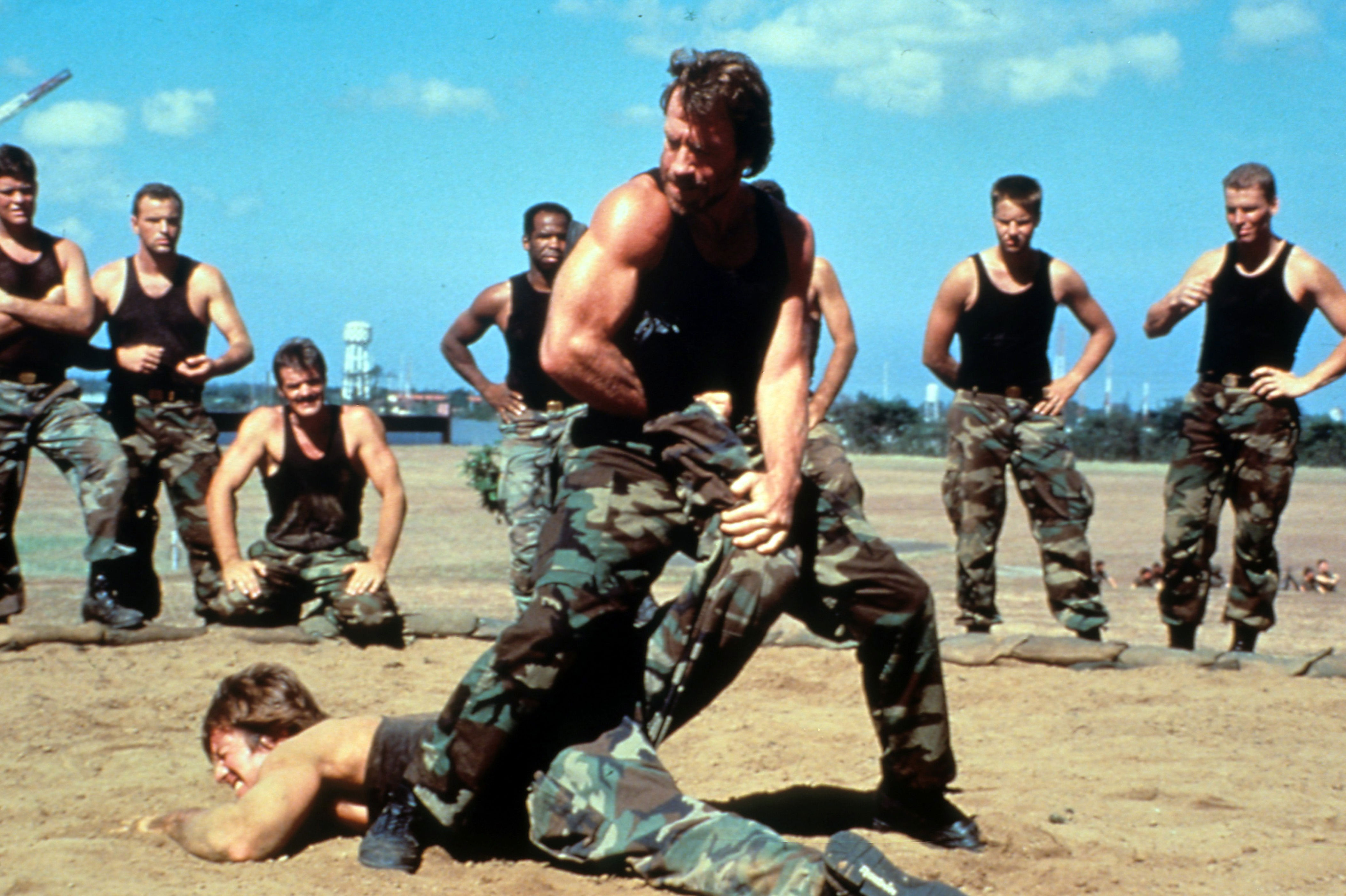Chuck Norris in pictures