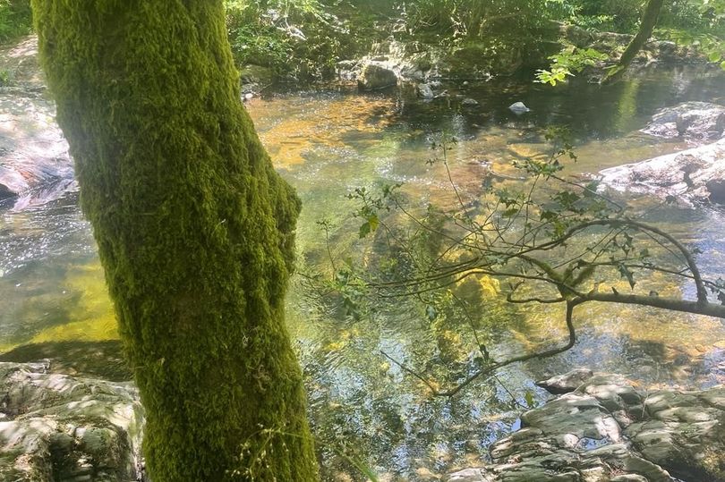 Stunning Devon walk passes a lost swimming pool, waterfalls and a viaduct