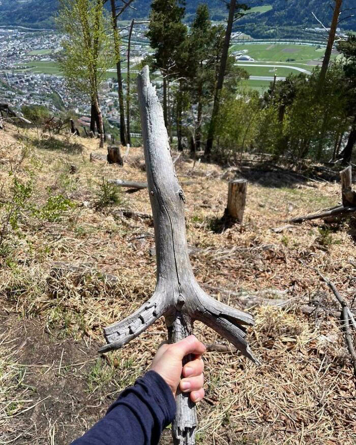 55 distinctive sticks people have been lucky enough to find