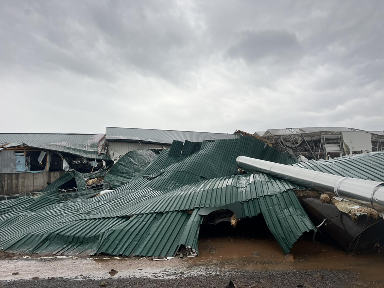 Carroll County greenhouse explosion leaves 1 critically injured, 2 ...