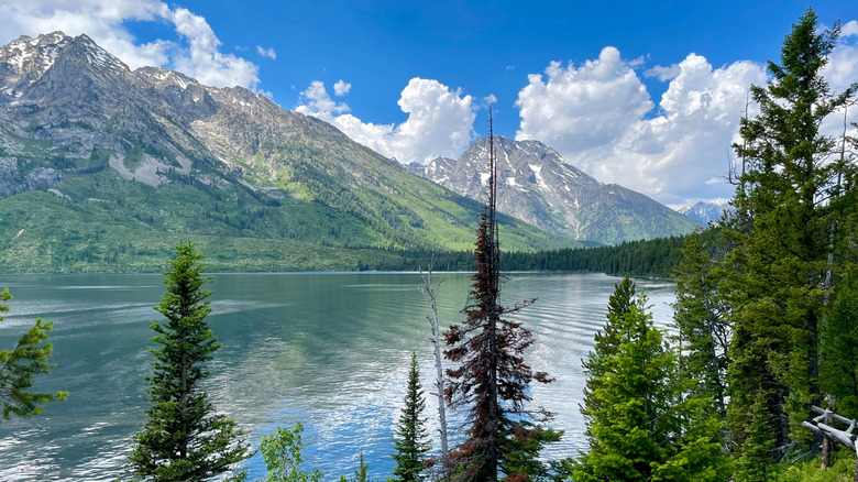 Some of America's best parks and outdoor experiences are tucked away in ...