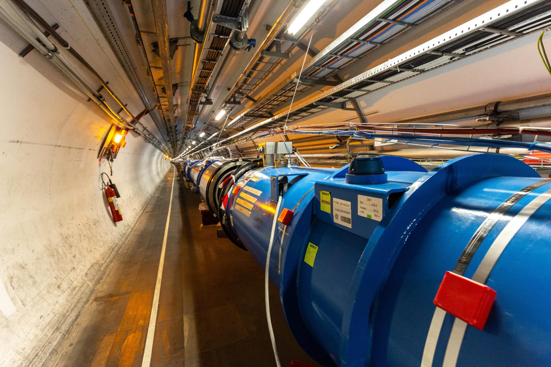 Beyond the proton: discovery of a new particle at the Large Hadron Collider