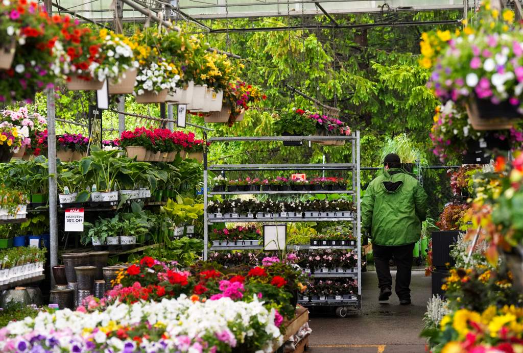 Spring is here, but forecasts say the temperature change will be 'slow'