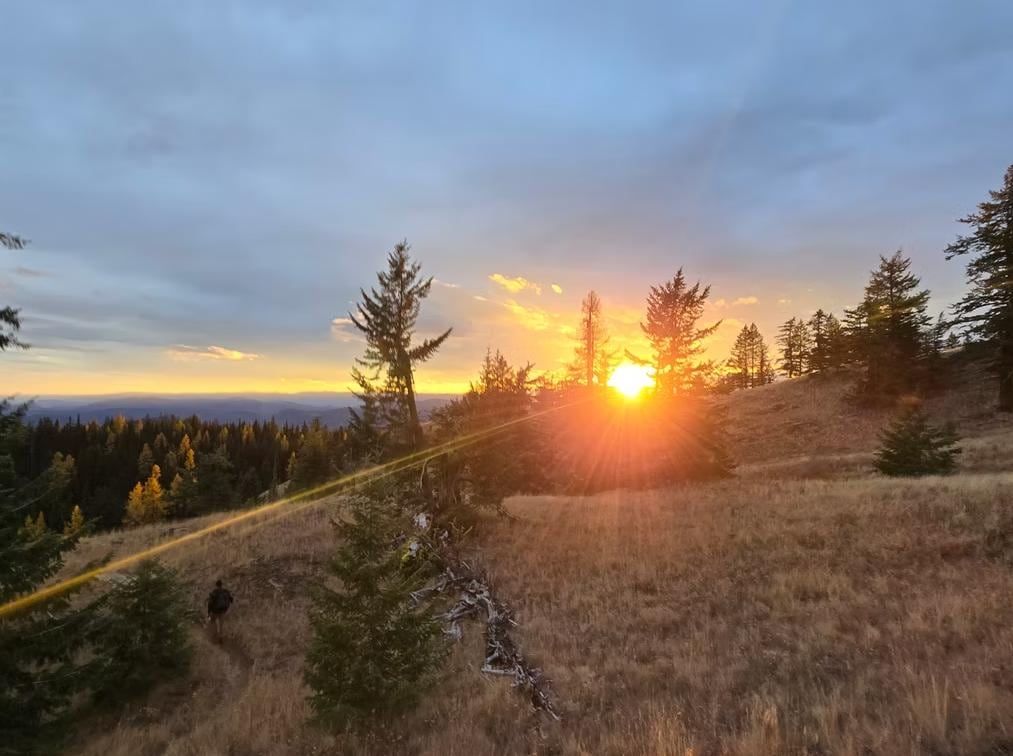 BC court to allow Rossland magnesium mine to proceed without ...
