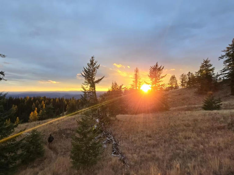 Court grants interim injunction pausing Rossland magnesium mine ...