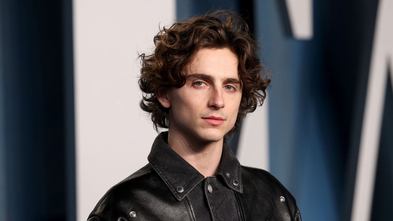 Timothée Chalamet Shows Black, Green, and White is The Best Unexpected ...