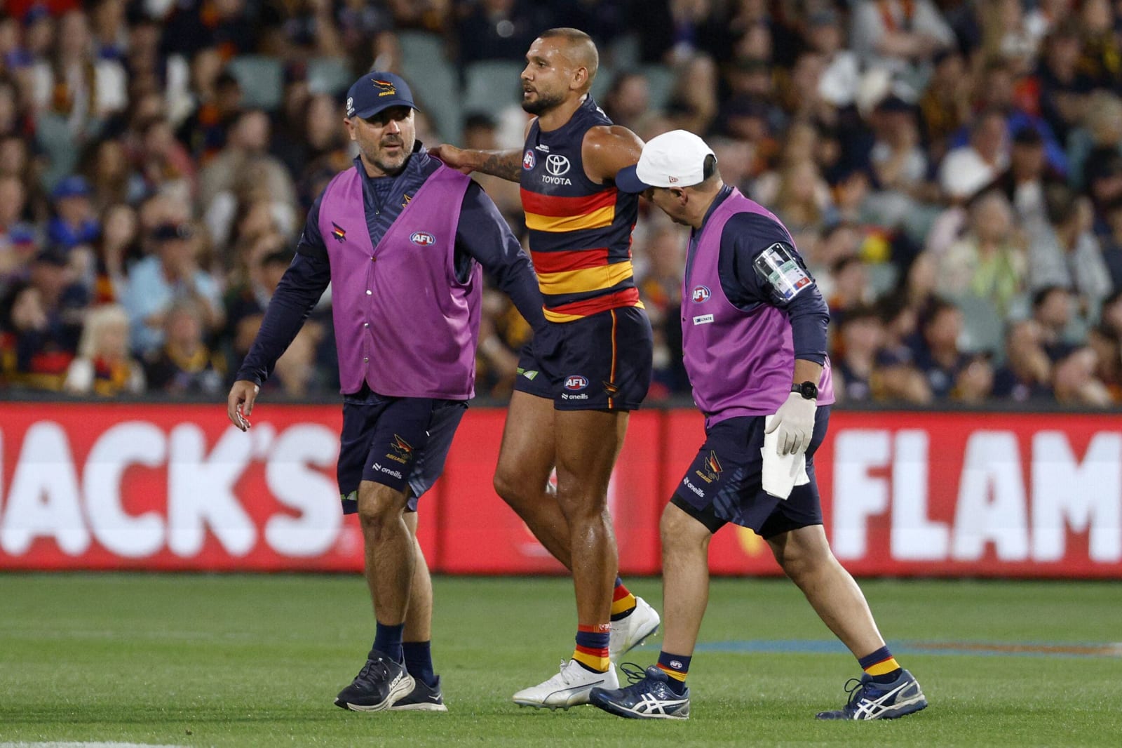 Victory Nicks-ed: Adelaide coach comments on Crows’ tight loss to Bulldogs