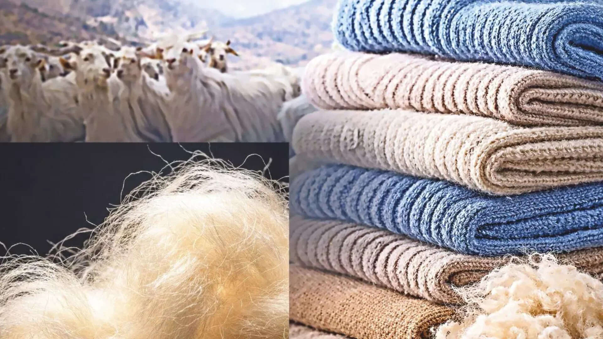 The real cost of cashmere