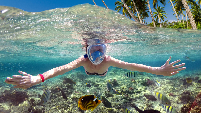 How to enjoy snorkeling and diving without causing damage to marine life
