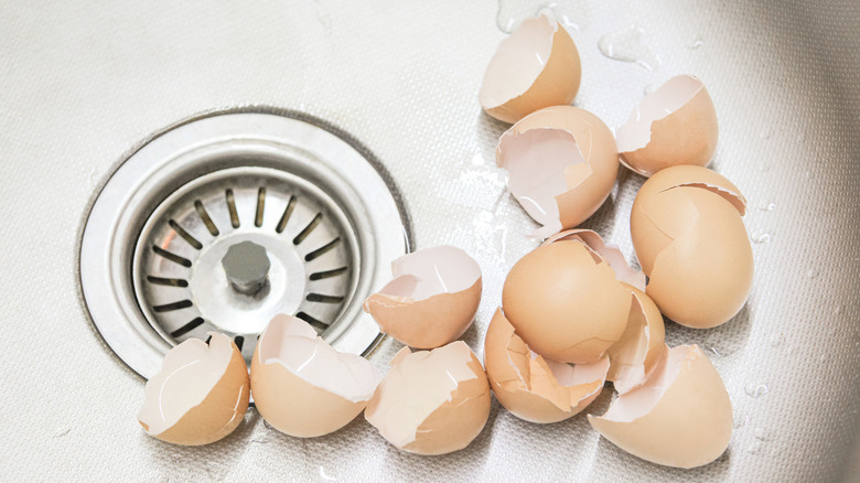 Avoid putting these foods and scraps down your drain at all costs