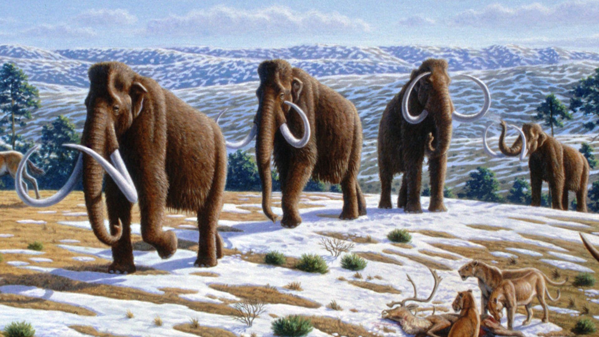 20 prehistoric animals that shared the planet with our ancestors