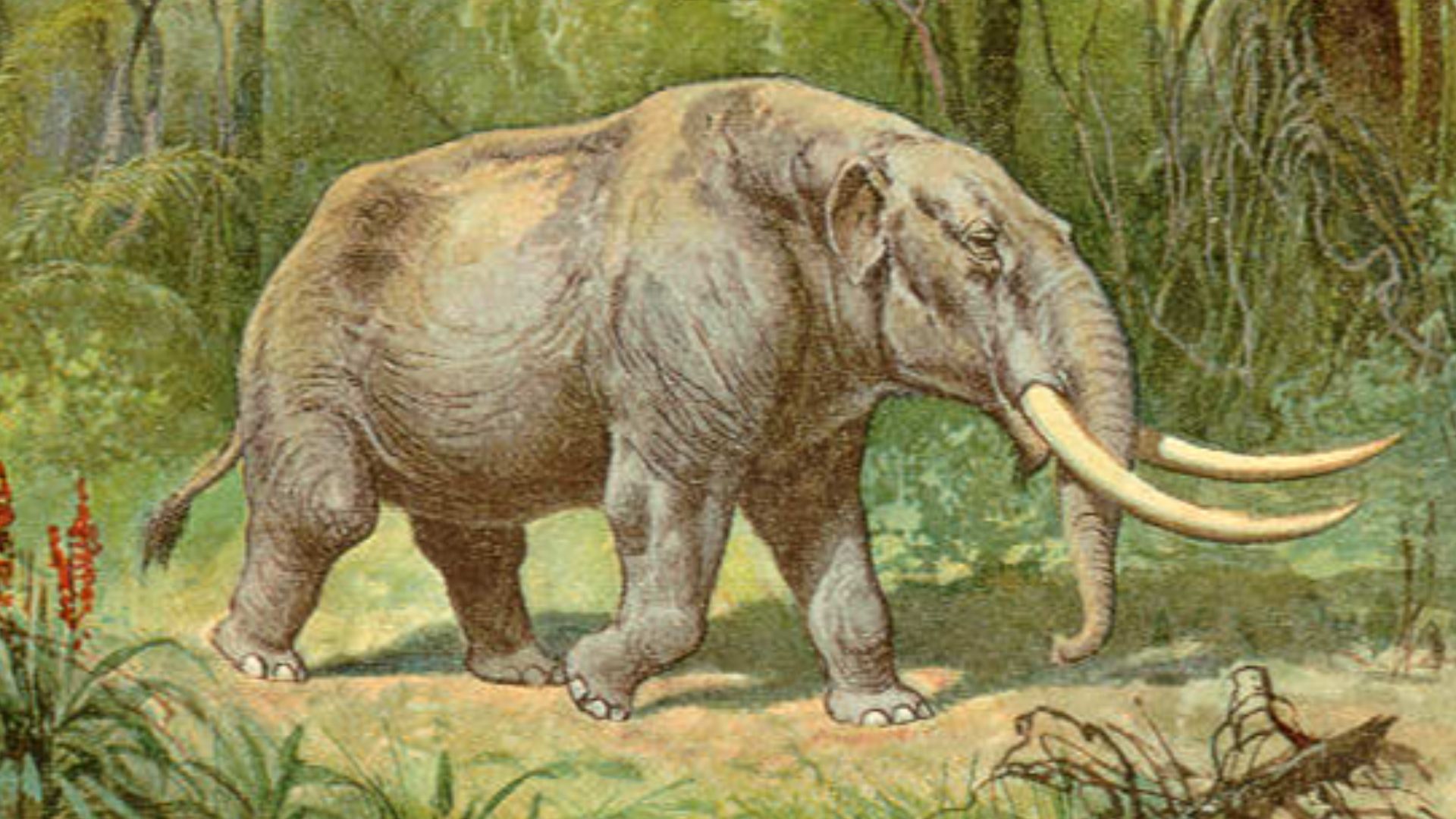20 prehistoric animals that shared the planet with our ancestors