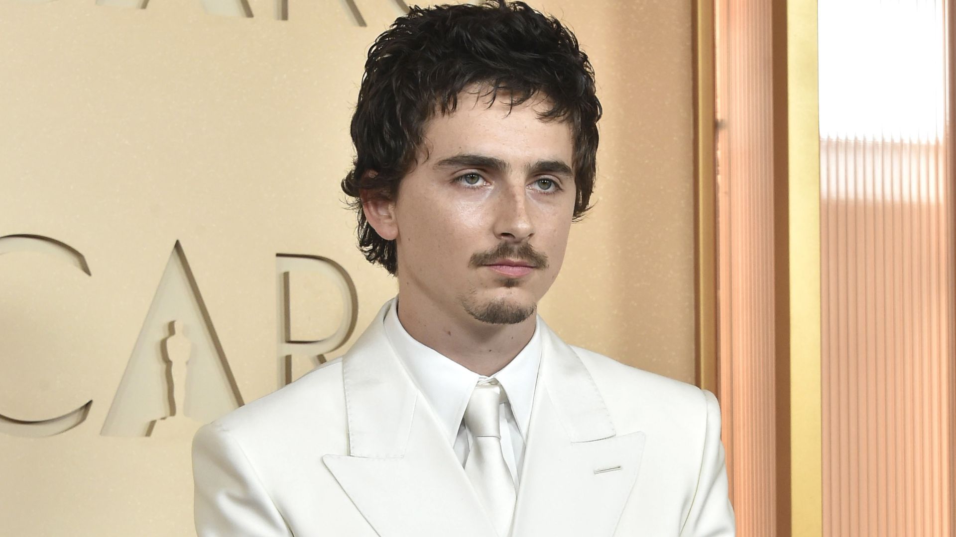 Timothée Chalamet's Marty Supreme sets HBO Max streaming release date
