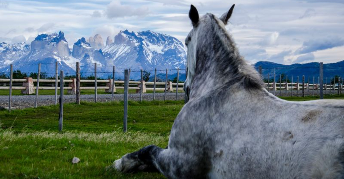 15 destinations for people who prefer mountains over beaches