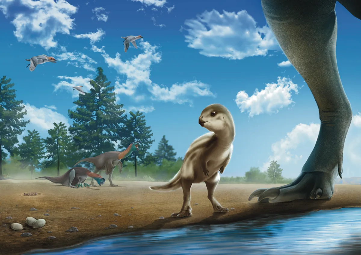 Un bébé dinosaure duveteux nouvellement découvert, si mignon qu’il ...